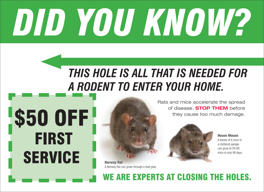 EDDM Pest - Generic #04 – American Business Forms & Envelopes