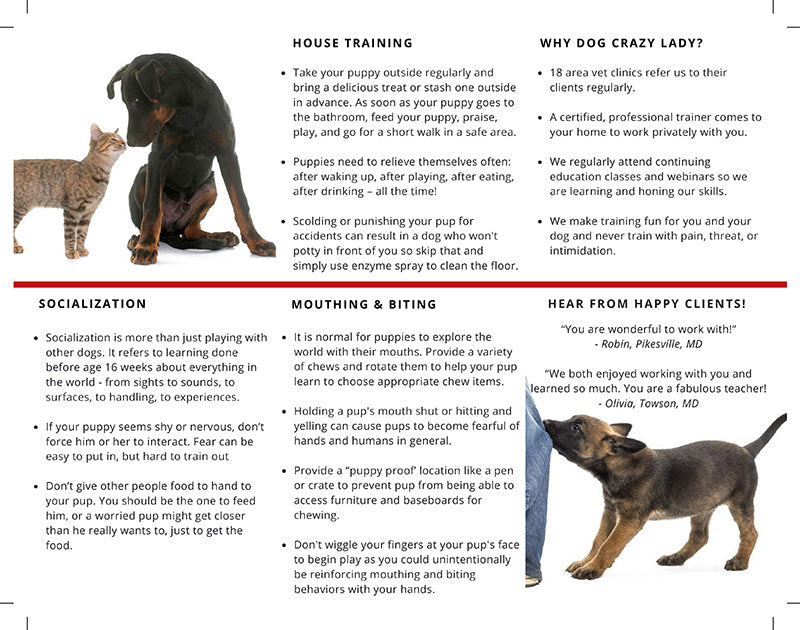 Dog Training Tri-Fold Flyers (8.5 x 11 / 100 lb Cover) – American ...