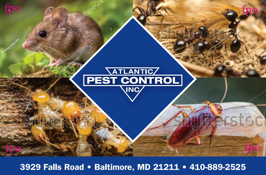 #4 Pest Control – American Business Forms & Envelopes