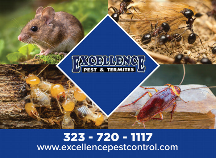 EDDM Pest - Generic #07 – American Business Forms & Envelopes