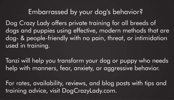 Dog Training Business Cards – American Business Forms & Envelopes