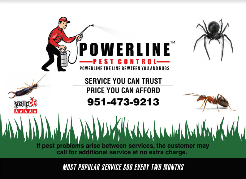 EDDM Pest - Generic #14 – American Business Forms & Envelopes